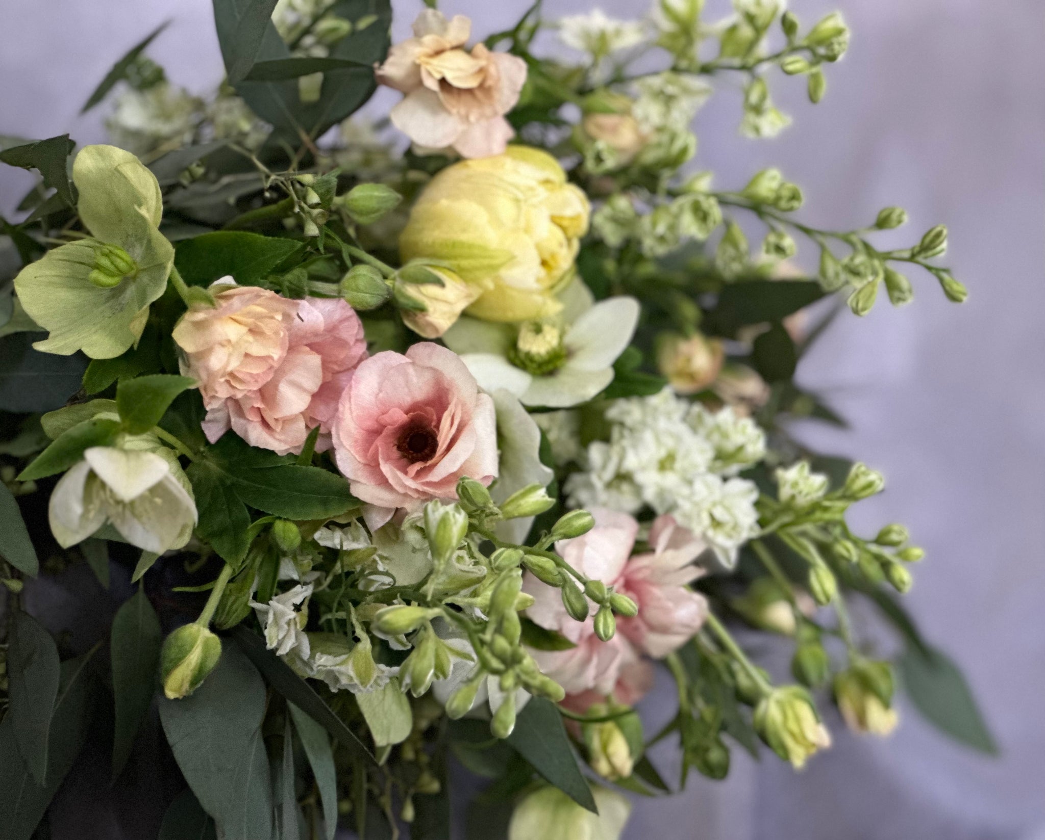 Products – Petal and Pitchfork